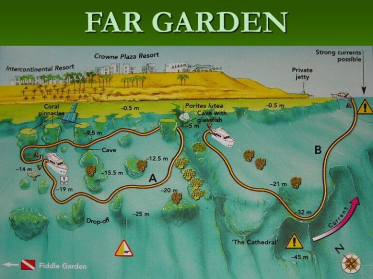 Dive Sites in Sharm El Sheikh Archives | Red Sea Divig Club