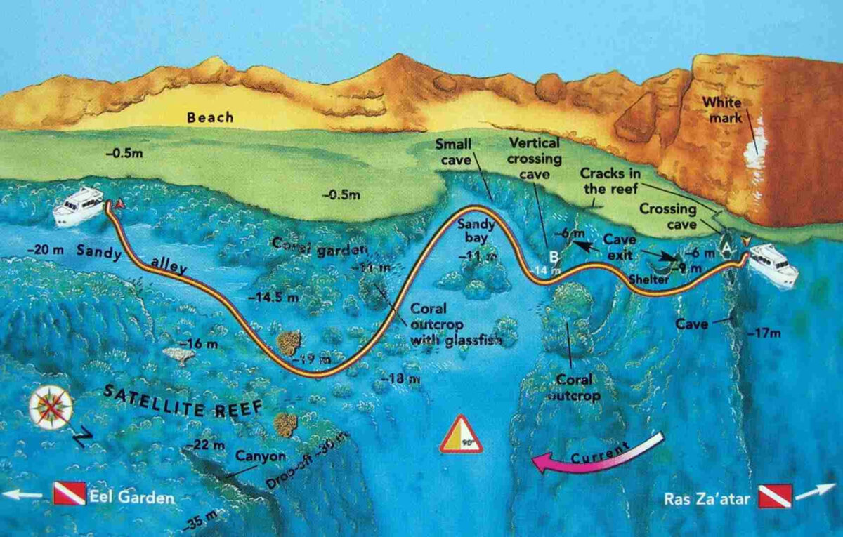 Dive Sites in Sharm El Sheikh Archives | Red Sea Divig Club