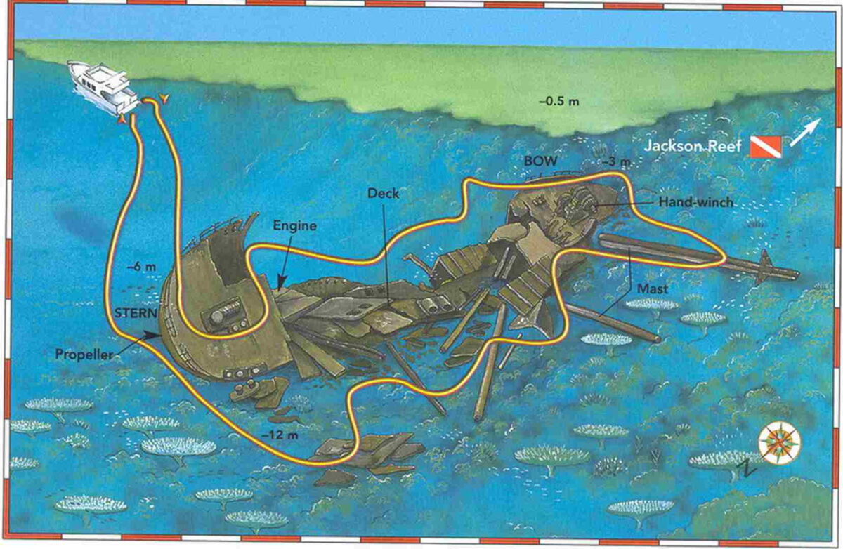Dive Sites in Egypt Archives | Red Sea Divig Club