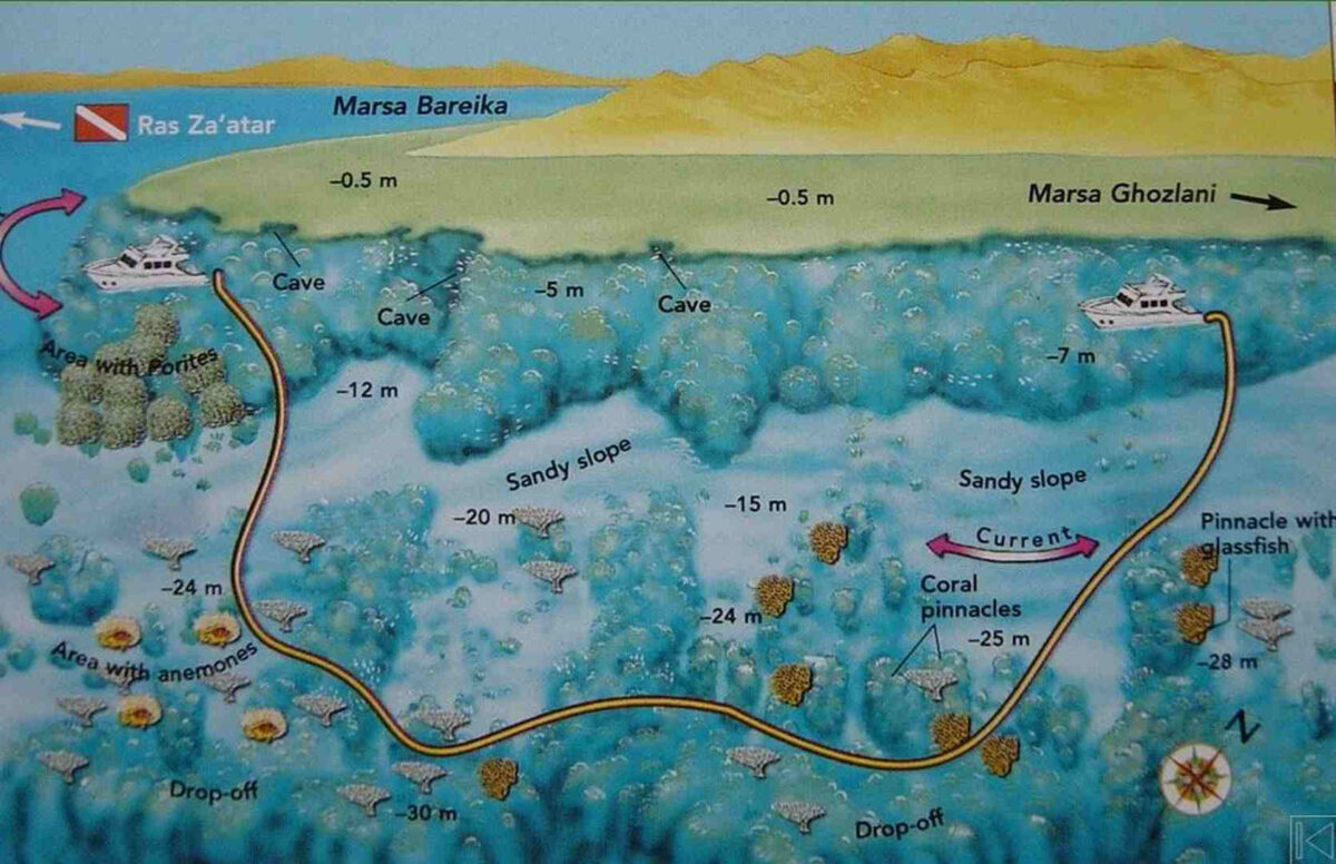 Dive Sites in Sharm El Sheikh Archives | Red Sea Divig Club
