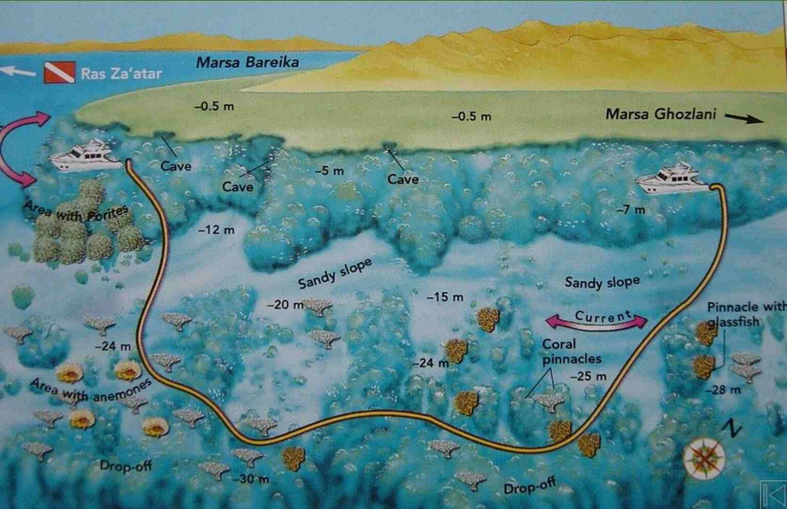 Dive Sites in Sharm El Sheikh Archives | Red Sea Divig Club