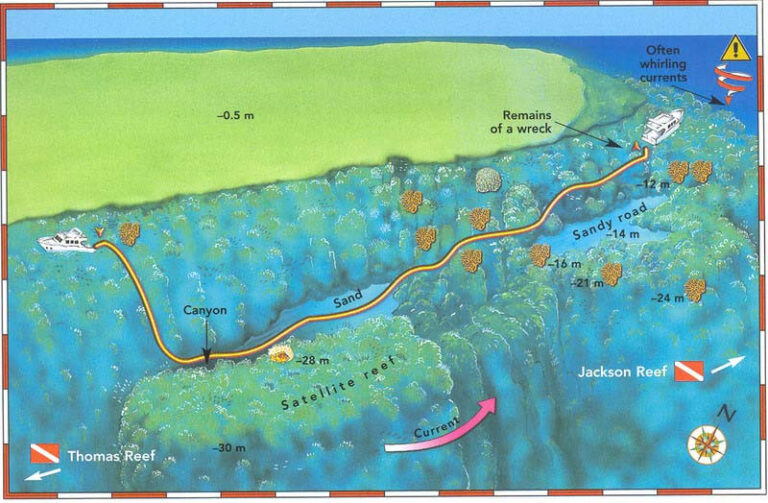 Dive Sites in Sharm El Sheikh Archives | Red Sea Divig Club