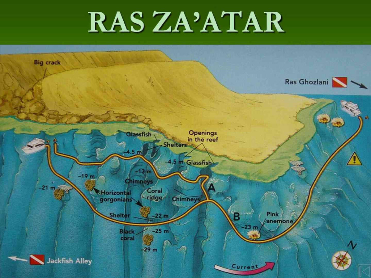 Dive Sites in Sharm El Sheikh Archives | Red Sea Divig Club